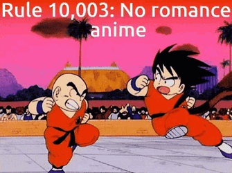 Rules Dragon Ball Rules Gif GIF | GIFDB.com