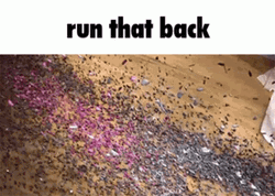 Run It Back Run That Back Run GIF | GIFDB.com