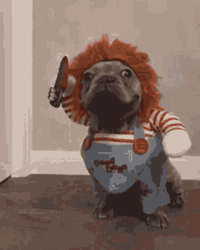Running Bulldog Chucky Doll GIF | GIFDB.com
