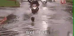 Running Flooded Water Bye GIF | GIFDB.com