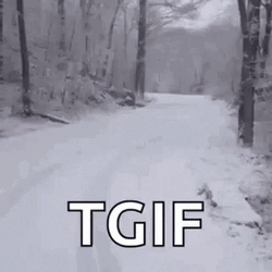 Running In The Snow Forest Tgif Meme GIF | GIFDB.com