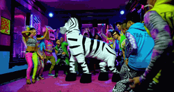 Running Man Zebra Party Hard GIF | GIFDB.com