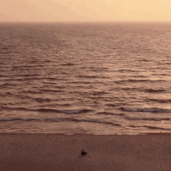Running Through Blue Wave Shore GIF | GIFDB.com