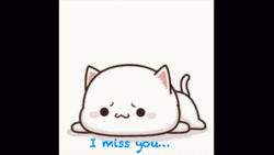 Sad Cat Tampo Hugging Himself GIF | GIFDB.com