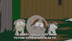 Sad Cat Looking Intently GIF | GIFDB.com