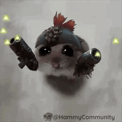 Sad Hamster Fight Me GIF | GIFDB.com