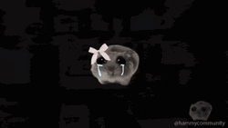 Sad Hamster Outer Space GIF | GIFDB.com