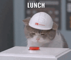 Sad Hungry Cat Lunch Time Button GIF | GIFDB.com