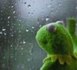 Sad Kermit Alone Moments Meme GIF | GIFDB.com