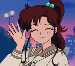 Fancy Sailor Jupiter And Bunny Cartoon GIF | GIFDB.com
