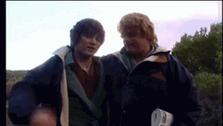 Samwise Gamgee And Frodo Baggins Accomplishment GIF | GIFDB.com