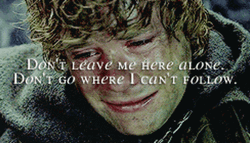 Samwise Gamgee Dont Leave Me Here Alone GIF | GIFDB.com