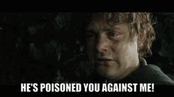 Samwise Gamgee Hes Poisoned You Against Me GIF | GIFDB.com