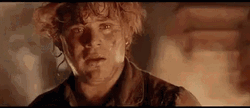 Samwise Gamgee No Lord Of The Rings GIF | GIFDB.com