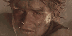 Samwise Gamgee With Dirty Face GIF | GIFDB.com