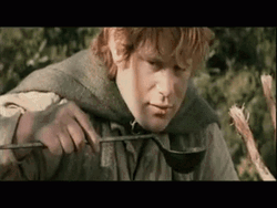 Samwise Gamgee Youre Hopeless GIF | GIFDB.com