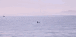 San Francisco California Beach GIF | GIFDB.com