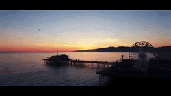 California GIFs | GIFDB.com