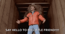Say Hello To My Little Friend Smokey Bandit GIF | GIFDB.com