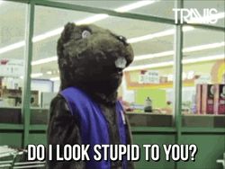 Scary Beaver Asking If He Looks Stupid GIF | GIFDB.com