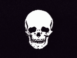 Scary Skull Gothic Fournier Cemetery GIF | GIFDB.com