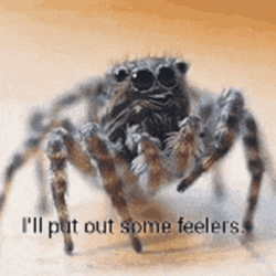Scary Spider Waving Hi GIF | GIFDB.com