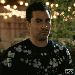 Schitt's Creek Dan Levy I Knew It GIF | GIFDB.com