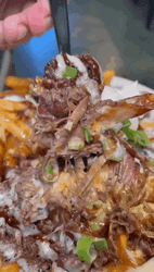 Scooping Cheesy Brisket GIF | GIFDB.com