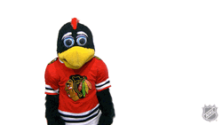 Scratching Head Bird Mascot GIF | GIFDB.com