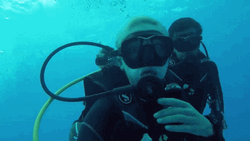 Scuba Steve Pointing GIF | GIFDB.com