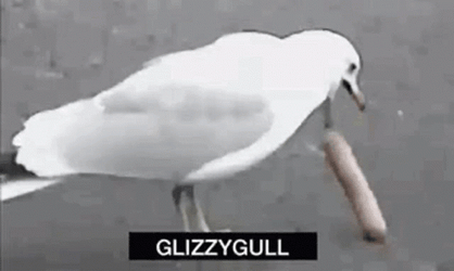 Seagull Swallowing Glizzy GIF | GIFDB.com