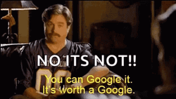 Internet GIFs | GIFDB.com