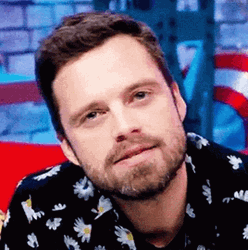 Sebastian Stan Lip Licking GIF | GIFDB.com