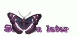 See You Later Butterfly GIF | GIFDB.com