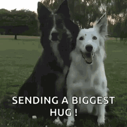 Sending A Big Hug GIF | GIFDB.com
