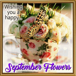 September Flowers And Butterfly GIF | GIFDB.com
