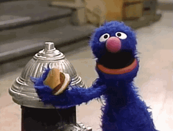 Sesame Street Muppet Grover Eating GIF | GIFDB.com