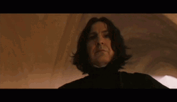 Severus Snape Puppet GIF | GIFDB.com