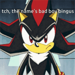 Shadow The Hedgehog Bad Boy GIF | GIFDB.com