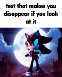 Shadow The Hedgehog Disappear Meme GIF | GIFDB.com