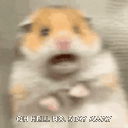 Shaking Hamster Scared Hell Nah Stay Away GIF | GIFDB.com