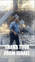 Shana Tova Israel Juggle Meme GIF | GIFDB.com