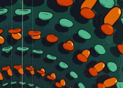 Shapes Bean Falling Loop GIF | GIFDB.com
