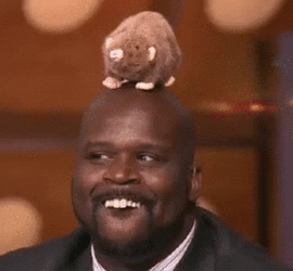 Shaq Dunking Rat Teeth GIF | GIFDB.com