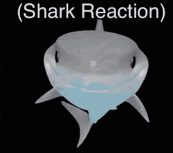 Shark Shocked Reaction GIF | GIFDB.com
