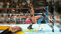 Shawn Michaels Throwing Razor Ramon Outside The Ring GIF | GIFDB.com