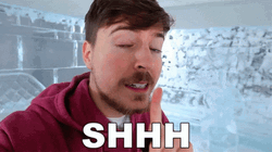Shhh Mr Beast Meme GIF | GIFDB.com