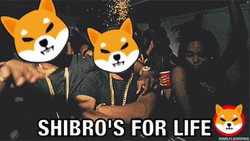 Shibro's For Life Crypto Meme GIF | GIFDB.com