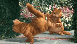 Shocked Break Dance Garfield Dancing GIF | GIFDB.com