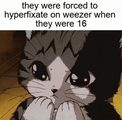 Shocked Crying Cat GIF | GIFDB.com